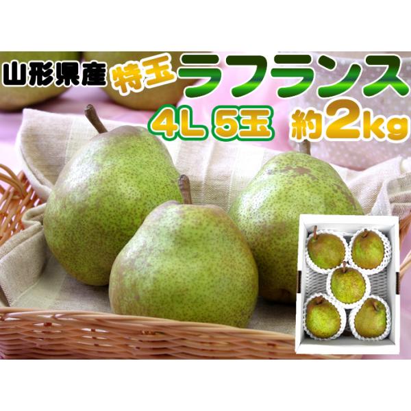 【発売日：2026年11月10日】