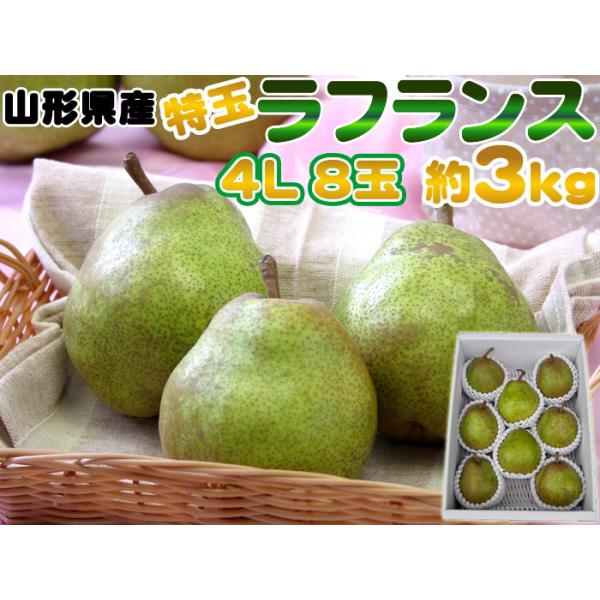 【発売日：2026年11月10日】