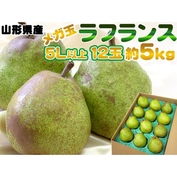 【発売日：2026年11月10日】