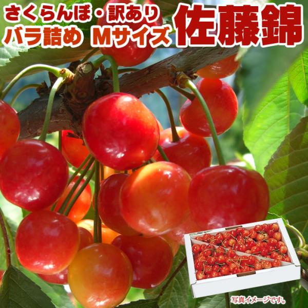 【発売日：2026年06月20日】・色むら、多少のキズ、味にバラつきがあります。・九州地方への発送につきましては別途送料500円を頂戴しております。沖縄県への発送につきましては別途送料1000円を頂戴しております。・クレジットカードにてお支...