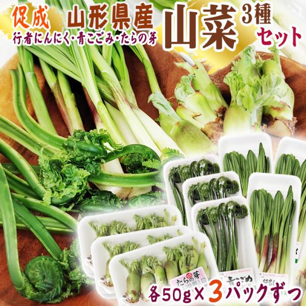 山形県では、山菜やきのこを活かした食文化が古くから根付き、雪深い冬の厳しい寒さの間に、ビニールハウス内で加湿し栽培する「促成山菜」の栽培が行われています。美味しいのはもちろん、天ぷら、炊き込みご飯、和え物、肉巻き、おひたし、煮物やパスタの具...