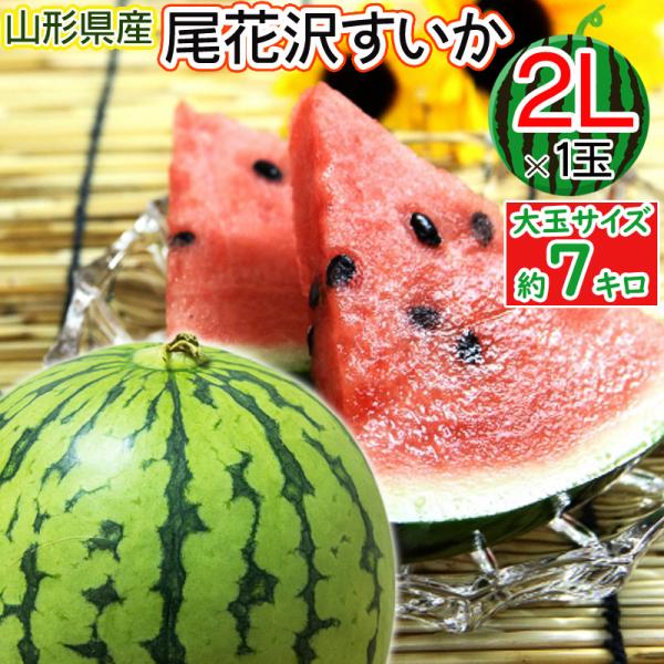 【発売日：2026年07月20日】山形県産尾花沢すいかを朝採り新鮮な状態でお届け！お届けする品種はシャリシャリ感が特徴で人気の「縞無双ＨＧ」です。尾花沢特有の黒墨土がとてもおいしい西瓜を生産してくれます。また、すいかは夏バテ予防に最適です。...
