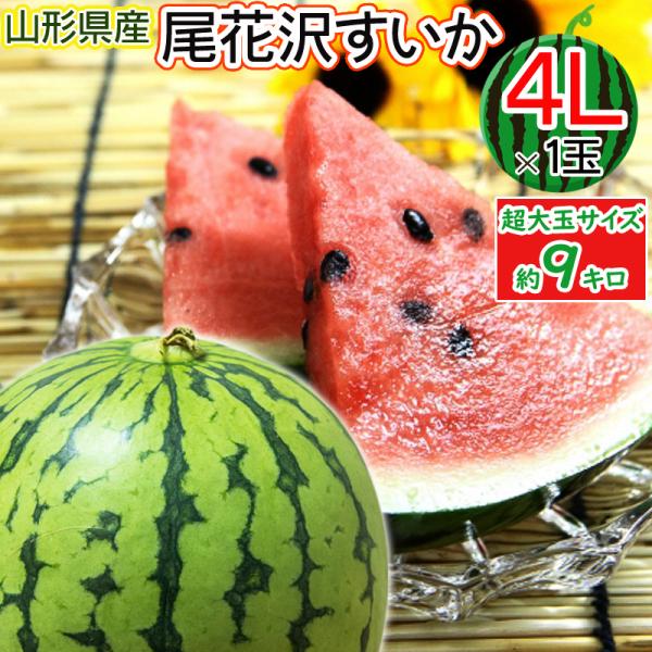 【発売日：2026年07月20日】山形県産尾花沢すいかを朝採り新鮮な状態でお届け！お届けする品種はシャリシャリ感が特徴で人気の「縞無双ＨＧ」です。尾花沢特有の黒墨土がとてもおいしい西瓜を生産してくれます。また、すいかは夏バテ予防に最適です。...