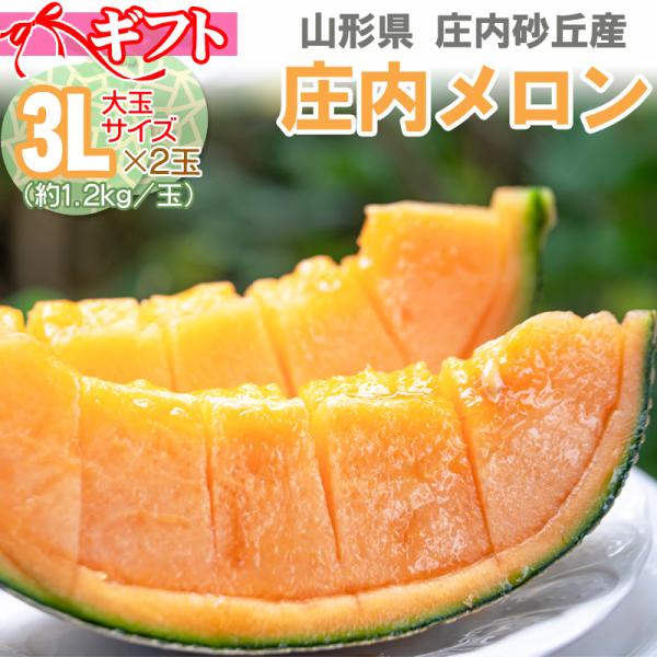 【発売日：2026年07月15日】砂丘での栽培が適しているのがメロンです。砂地は水はけが抜群に良く、メロンが水分をより多く蓄えようとすることで、甘みが凝縮され旨みが増すのです。また、万年雪のある鳥海山、月山など山々に囲まれているため、良質な...