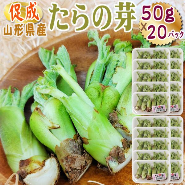 山形県では、山菜やきのこを活かした食文化が古くから根付き、雪深い冬の厳しい寒さの間に、ビニールハウス内で加湿し栽培する「促成山菜」の栽培が行われています。美味しいのはもちろん、天ぷら、炊き込みご飯、和え物、肉巻き、おひたし、煮物やパスタの具...