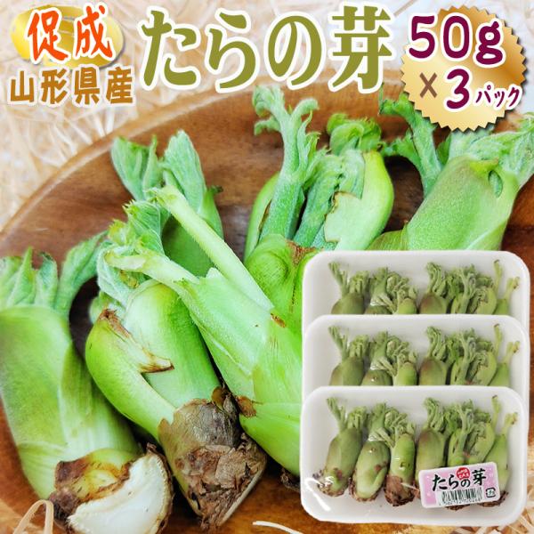 山形県では、山菜やきのこを活かした食文化が古くから根付き、雪深い冬の厳しい寒さの間に、ビニールハウス内で加湿し栽培する「促成山菜」の栽培が行われています。美味しいのはもちろん、天ぷら、炊き込みご飯、和え物、肉巻き、おひたし、煮物やパスタの具...