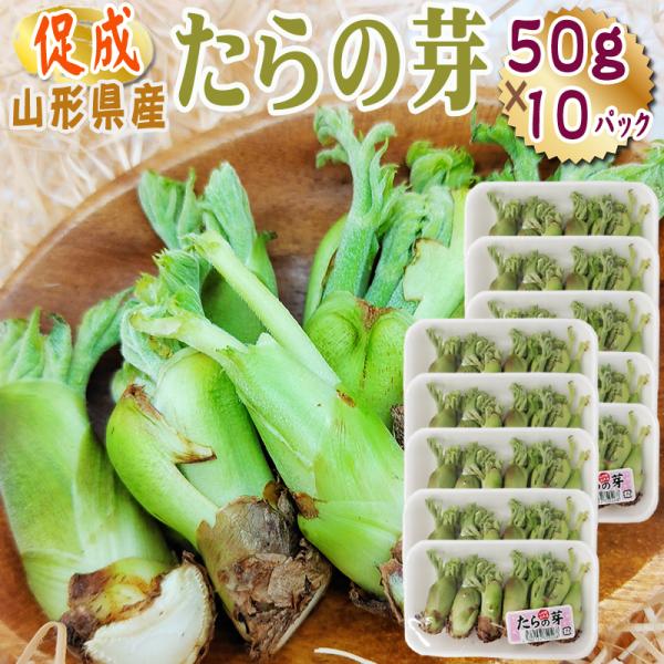 山形県では、山菜やきのこを活かした食文化が古くから根付き、雪深い冬の厳しい寒さの間に、ビニールハウス内で加湿し栽培する「促成山菜」の栽培が行われています。美味しいのはもちろん、天ぷら、炊き込みご飯、和え物、肉巻き、おひたし、煮物やパスタの具...