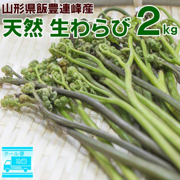 【発売日：2026年05月20日】山形県の山菜の宝庫と言われる飯豊連峰のわらびです。こちらの商品は天然の生わらびとなります。生のわらびとなりますので、あくを抜いてから調理ください。注意事項・当商品は飯豊町より産地直送で発送します。そのため、...