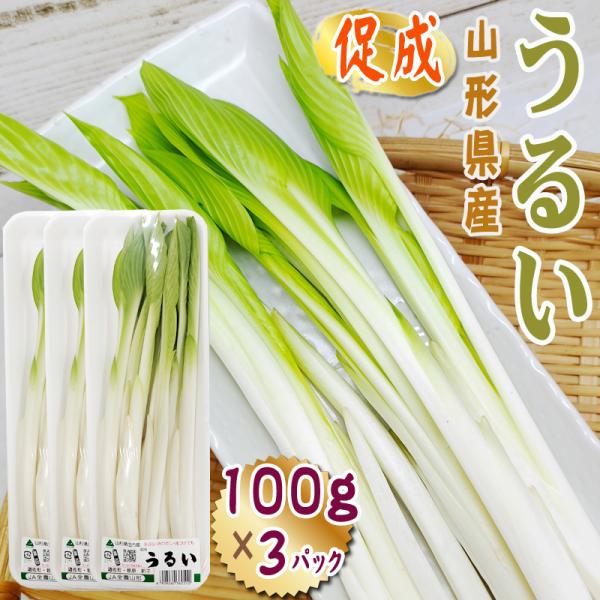 山形県では、山菜やきのこを活かした食文化が古くから根付き、雪深い冬の厳しい寒さの間に、ビニールハウス内で加湿し栽培する「促成山菜」の栽培が行われています。美味しいのはもちろん、天ぷら、炊き込みご飯、和え物、肉巻き、おひたし、煮物やパスタの具...