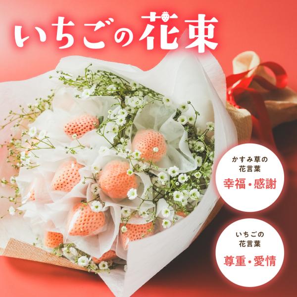お歳暮や特別な日の贈り物に、他にはない驚きと感動を。熊本の希少な白いちご「淡雪（あわゆき）」を贅沢に15粒使用した、直径約23cmのプレミアムな「食べられる花束」です。まさに白い宝石のような逸品です。【商品の魅力】希少価値の高い「淡雪」：ほ...