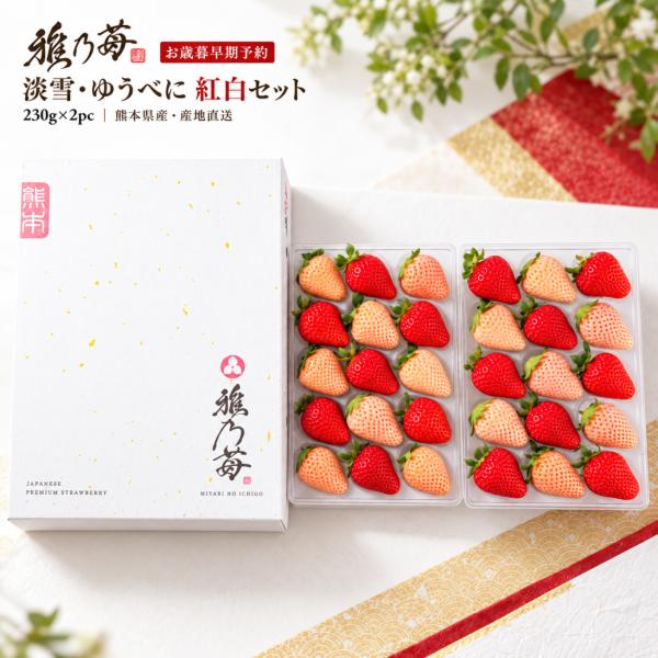 【発売日：2026年12月01日】【お歳暮・冬ギフト早期予約】通常価格より200円OFFの早期予約特典対象商品です。熊本県玉名市横島町から、雅乃苺の「淡雪」と「ゆうべに」を産地直送。白から桜色に色づき、酸味が穏やかで上品な甘みの淡雪と、鮮や...