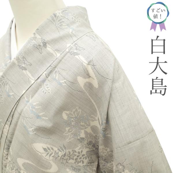 【中古】 すごい値！ 本場大島紬 白大島 リサイクル 着物 袷 正絹 7マルキ 白 水色 草花 流水 古典柄 カジュアル 大島 大島紬 上質 中古 仕立て上がり 身丈161 裄丈64 Ｍサイズ 春 秋 冬 リサイクル着物 白大島 中古 大島...