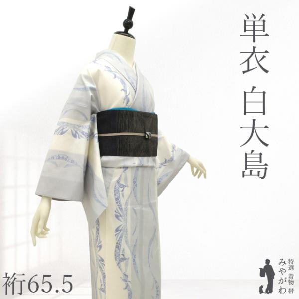 【中古】 本場大島紬 着物 リサイクル 正絹 単衣 春 秋 白大島 ９マルキ カタス式 正藍染 青 水色 ブルー系 草花 鳥 流線 細縞 お洒落 かわいい カジュアル 藍染 美品 春秋 仕立て上がり 身丈163 裄丈65.5 Ｍサイズ みや...