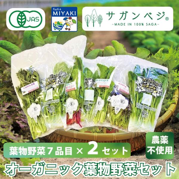 厳選した植物性有機物資材で化学肥料、農薬、除草剤不使用で育てた葉野菜をご賞味ください。 クローン病を経験し、「本当に安全で体に負担の少ない食べ物とは何か」を考えたことをきっかけに、今の栽培方法にたどり着きました。 化学合成肥料や化学農薬はも...