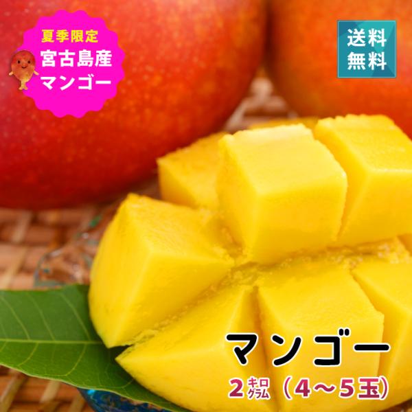 【商品情報】●品　名：本場宮古島産マンゴー 2kg●名　称：宮古島産マンゴー2kg●内容量：2kg（4〜５玉）●産地名：沖縄県宮古島●商品説明：１個１個のマンゴーに養分がいきわたるように１本の木には摘果した良い実だけをのこしているから風味や...