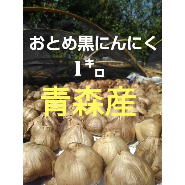 【発売日：2022年05月15日】【ご注意】◆1kgサイズの発送について1kg商品は平日のみ発送となります。通常は翌日発送ですが、金曜日のご注文は翌週の平日発送となります。到着日の指定はできません。◆お急ぎの方へ500g・300gの商品は土...
