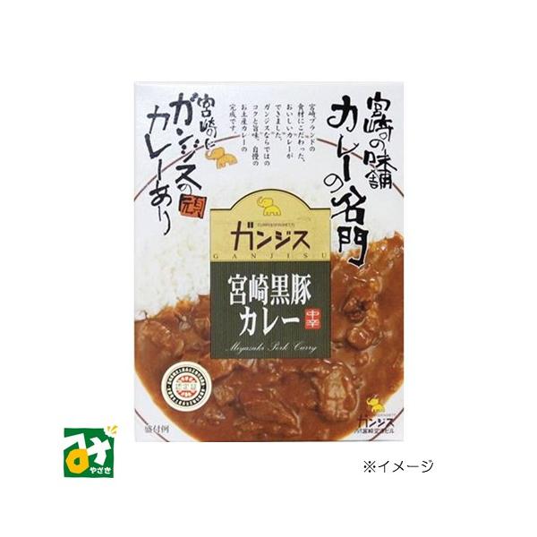 宮崎ブランドの食材にこだわった、おいしいカレーができました。ガンジスならではのコクと旨味。定番のガンジスカレーに黒豚カレーが登場！■内容量：180g■原材料名：野菜（たまねぎ、にんじん、セロリ）、豚肉、無糖れん乳、植物油脂、小麦粉、チャツネ...