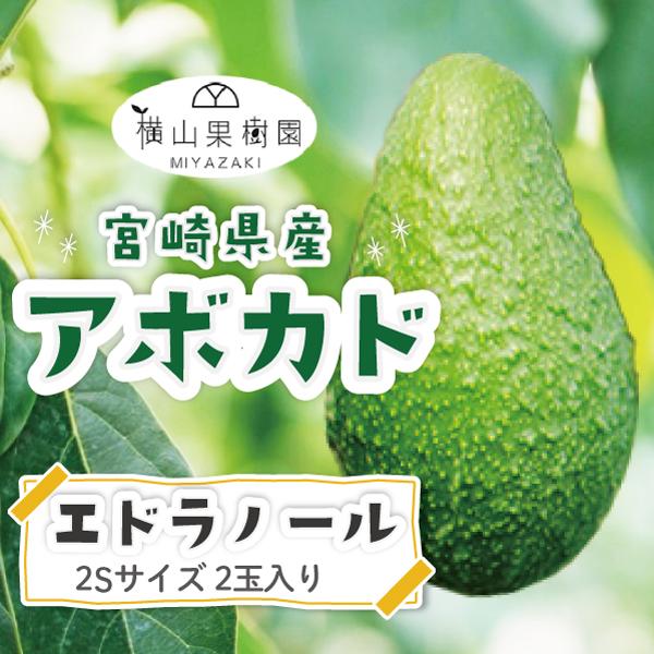 商品名　宮崎産アボカド「エドラノール」産地 宮崎県内容量　2Sサイズ(150g~199g)×2玉パック入り商品説明 糖油分が多く、コクのある味わいのエドラノール。南国宮崎でひとつひとつ大切に育てられた国産アボカドを産地直送でお届け。※こちら...