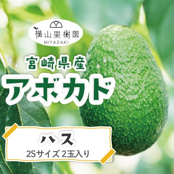 商品名　宮崎産アボカド「ハス」産地 宮崎県内容量　2Sサイズ(150g~199g)×2玉パック入り商品説明　香り・食感ともに最高クラスで輸入品の出回りが多い品種のハス。南国宮崎でひとつひとつ大切に育てられた国産アボカドを産地直送でお届け。※...