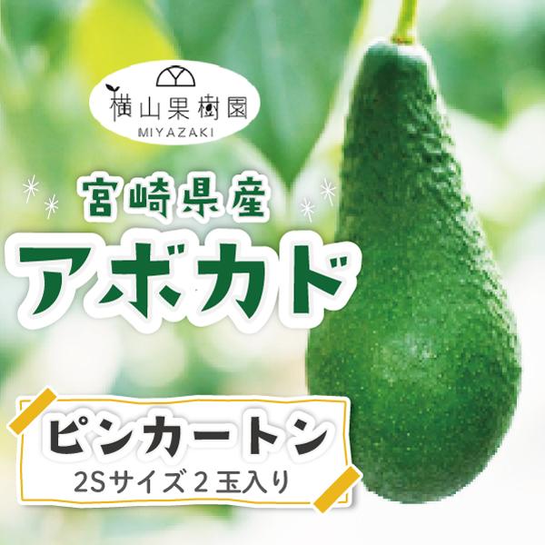 商品名　宮崎産アボカド「ピンカートン」産地 宮崎県内容量　2Sサイズ(150g~199g)×2玉パック入り商品説明 油分を多く含み、ナッツのような香りのピンカートン。南国宮崎でひとつひとつ大切に育てられた国産アボカドを産地直送でお届け。※こ...