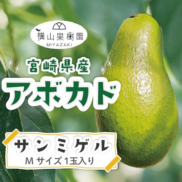 商品名　宮崎産アボカド「サンミゲル」産地 宮崎県内容量　Mサイズ(250g~299g)×1玉パック入り商品説明 果肉が濃厚でクリーミー。香り食感ともに最高クラスのサンミゲル。南国宮崎でひとつひとつ大切に育てられた国産アボカドを産地直送でお届...