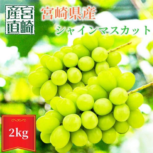 【内容】 朝穫れ　宮崎県産 シャインマスカット【サイズ】 2Kg以上【個数】 3房〜4房【見た目の状態】秀品【産地】 宮崎県小林市【賞味期限】1週間程度※保存状態によって変わります。【保存方法】日光の当たらない風通しの良い場所に保管してくだ...