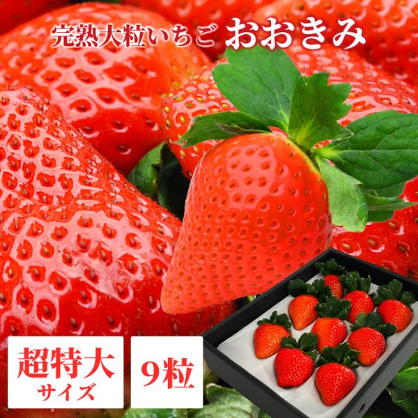 商品名 宮崎産高級いちご「おおきみ」超特大9粒産地 宮崎県内容量 超特大　9粒入　380g以上普通の苺よりかなり大きなサイズです。包装形態 新開発のパッケージで、振動によるイチゴのくずれ、きず、凹み、つぶれ、を防止賞味期限 到着後お早めにお...