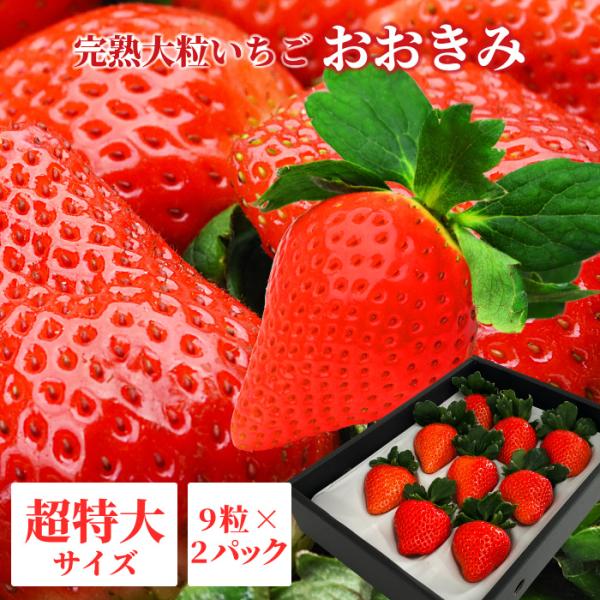 商品名 宮崎産高級いちご「おおきみ」超特大9粒産地 宮崎県内容量 超特大　9粒入×2パック 1パック380g以上(1粒あたり40g以上) 普通の苺よりかなり大きなサイズです。包装形態 新開発のパッケージで、振動によるイチゴのくずれ、きず、凹...