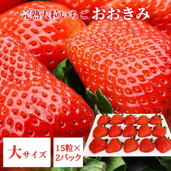 ★★★★★★いちごは、ご注文をお受けした順に発送してまいります。お届け日時指定は不可能となります。また、農産物の為、天候などの状況により糖度や重量に多少の変動がございます。予めご了承ください。★★★★★★お届け先が【北海道】【沖縄】【離島】...