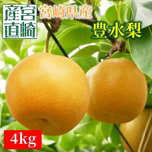 お届け先が【北海道】【沖縄】【離島】の場合、別途送料＋1500円を合計金額に加算させて頂きます。あらかじめご了承くださいますようお願いいたします。内容 【宮崎県産】梨サイズ 4Kg以上個数 豊水梨(10〜12個)見た目の状態 秀品産地 宮崎...