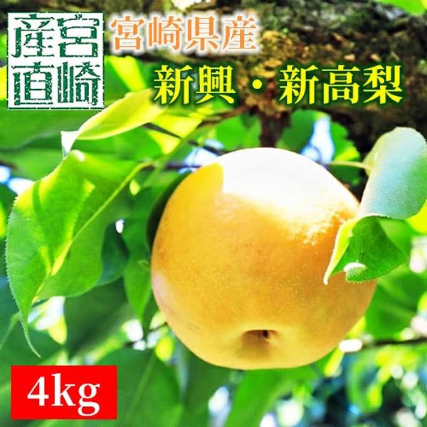 お届け先が【北海道】【沖縄】【離島】の場合、別途送料＋1500円を合計金額に加算させて頂きます。あらかじめご了承くださいますようお願いいたします。ご希望の出荷日に添えない場合がございます。ご了承ください。内容 【宮崎県産】梨サイズ 4Kg以...