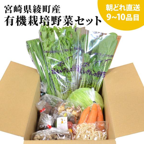 全て宮崎県綾町産の減農薬の野菜セットです。土からこだわり、有機農業で育った新鮮な野菜を産地直送でお届けします！[ クール便 送料無料 ]名称　有機栽培 野菜セット　Mサイズ 9~ 10品目産地　　宮崎県東諸県郡綾町保存方法　　冷蔵庫で保存発...