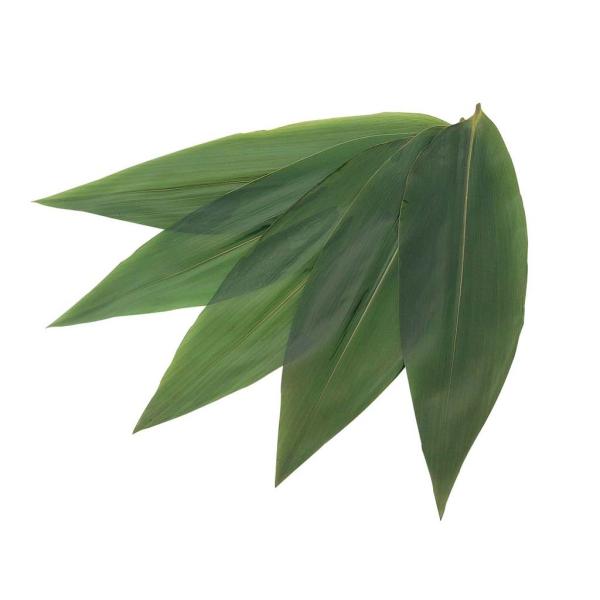 5142 8S サイズ：約70〜90×約290mm※ 天然物につき、サイズが異なる場合がございます。