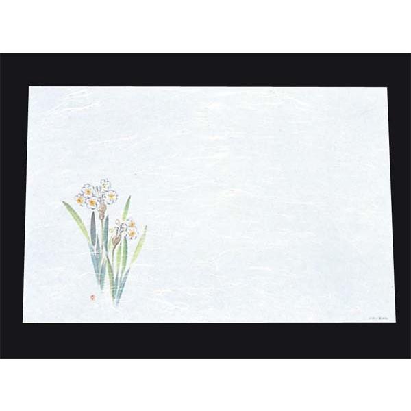 季節：11月〜1月サイズ：264×390mm●無蛍光食品用和紙を使用●雑菌(大腸菌・病原性大腸菌O-157)発生を強力に防ぎ、付着した最近の繁殖を抑え、　ゆるやかに滅菌し長時間効果が持続します。●この商品は、抗菌加工されています。尺三 懐石...
