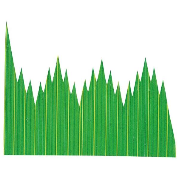 サイズ：57×74mm●生バランは黄色の線が等間隔に入っています。
