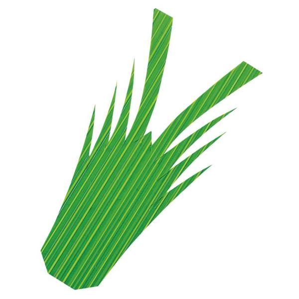 サイズ：125×60mm●生バランは黄色の線が等間隔に入っています。