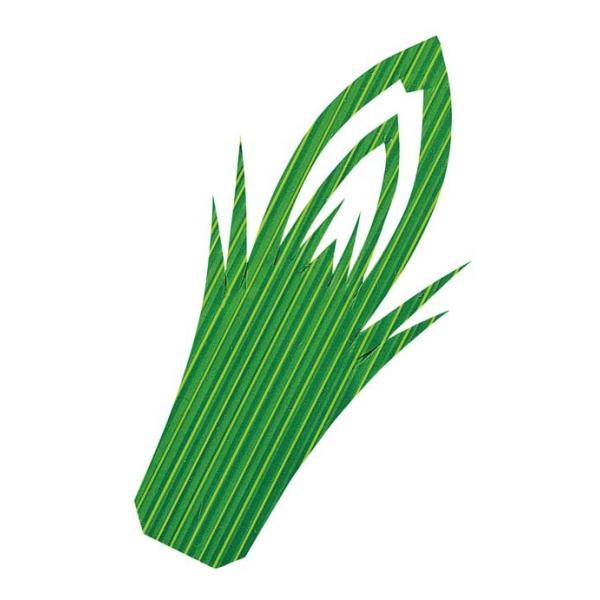 サイズ：125×60mm●生バランは黄色の線が等間隔に入っています。