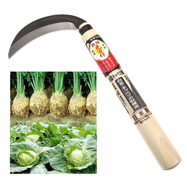 ※ご購入後でも品切れになっている場合がございます。その際は、メールでお知らせしますので必ずご確認ください。【商品概要】サイズ:刃/120mm、柄/210mm本体重量:70g【商品説明】白菜キャベツの収穫用。<br>何度でも研げる...