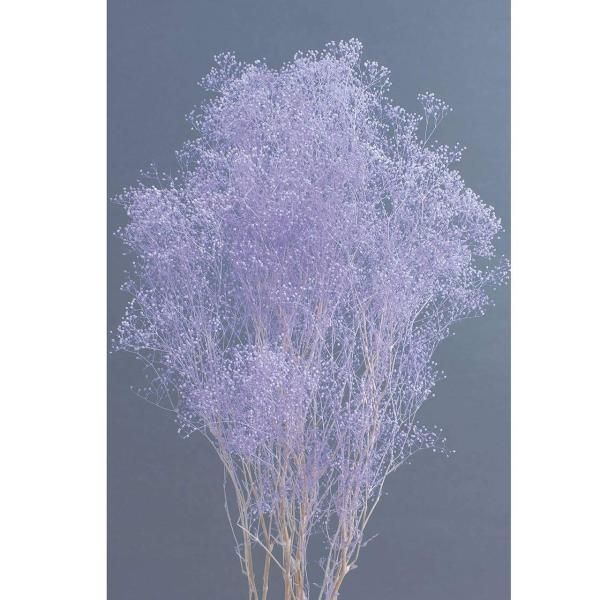 ※ご購入後でも品切れになっている場合がございます。その際は、メールでお知らせしますので必ずご確認ください。【商品概要】約L40cm主な素材:天然素材原産国:日本国プリザーブドフラワーフラワー(プリザーブド)染料が切り口や表面から漏れることが...