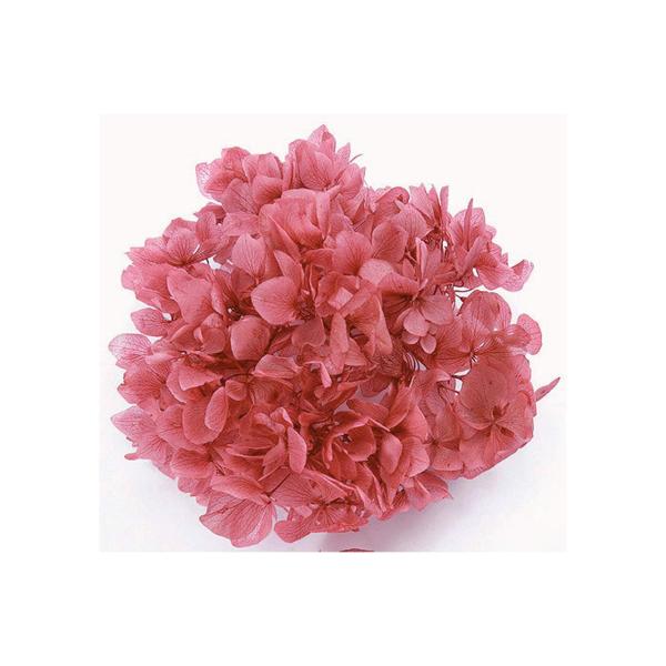 ※ご購入後でも品切れになっている場合がございます。その際は、メールでお知らせしますので必ずご確認ください。【商品概要】約2輪(7~15g)主な素材:天然素材原産国:日本国プリザーブドフラワーフラワー(プリザーブド)染料が切り口や表面から漏れ...