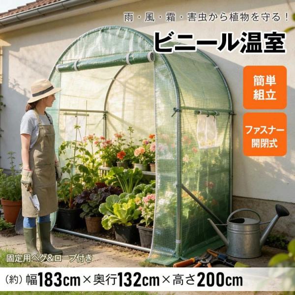スタイルタイプ:グリーンその他素材:鉄素材:PE
