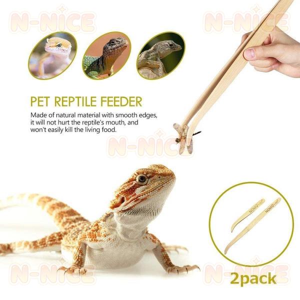 STARABAの爬虫類 トカゲ 餌やり ピンセット２点セット 大 小 ペット用:152ならYahoo!ショッピング！ランキングや口コミも豊富なネット通販。更にお得なPayPay残高も！スマホアプリも充実で毎日どこからでも気になる商品をその場...