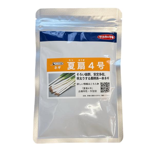 １． 太りがよく、密植が可能で、低温伸長性のある黒柄系一本ネギです。２． 夏秋および秋冬どりに適し、土質を選ばず、作型適応性が広く、作柄が安定する多収品種です。３． 草勢は強く、立葉で葉折れが少なく、機械管理作業が容易です。４． 葉鞘部の長...