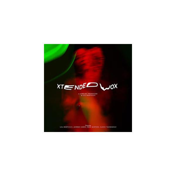 緊張感のある実験的なボーカルサウンドが収録された音源