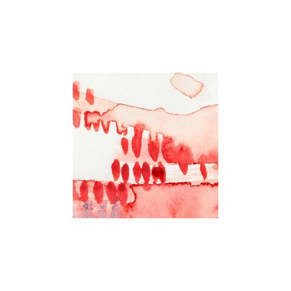 Alev Lenzとのコラボレーションにより生まれたドローン音源