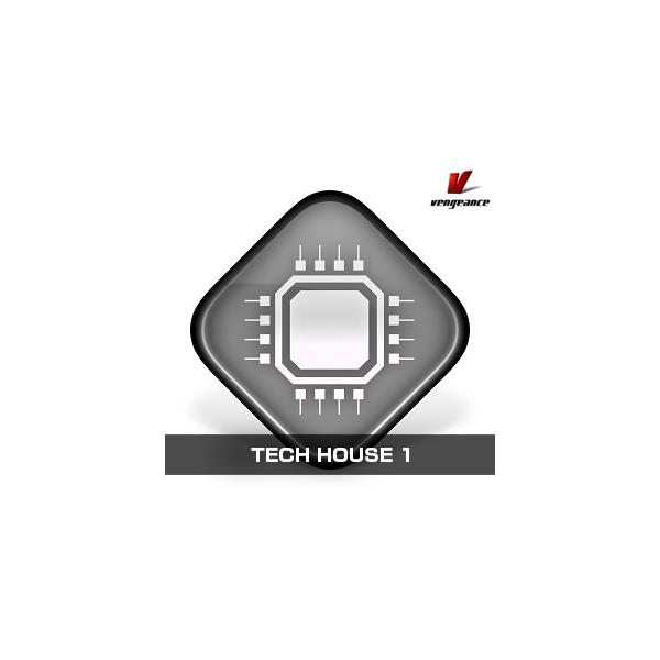 テック・ハウスに特化したAVENGER専用拡張プリセット