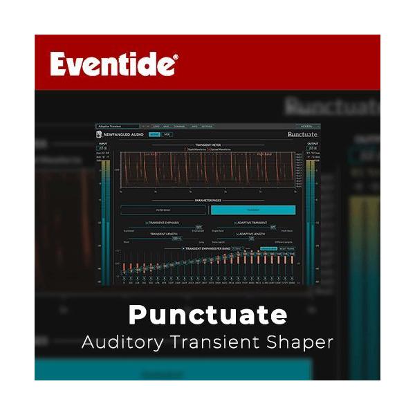 数々の賞を受賞したセクションをベースに、人間の耳のクリティカルバンドに基づいたマルチバンド・トランジェント・モジュレーター