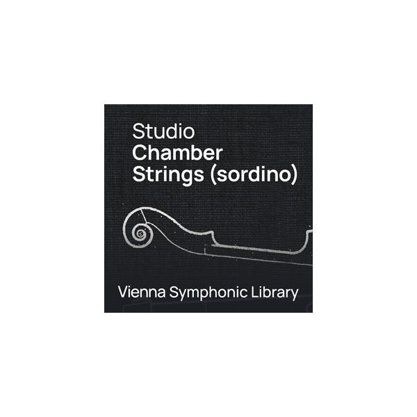CHAMBER STRINGS 2 のSYNCHRON PLAYER 版
