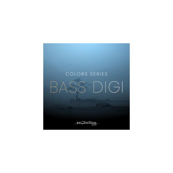 時を超えて響き渡る中国楽器『笛子 / ディジ』の古代の音色が織りなすテクスチャ。