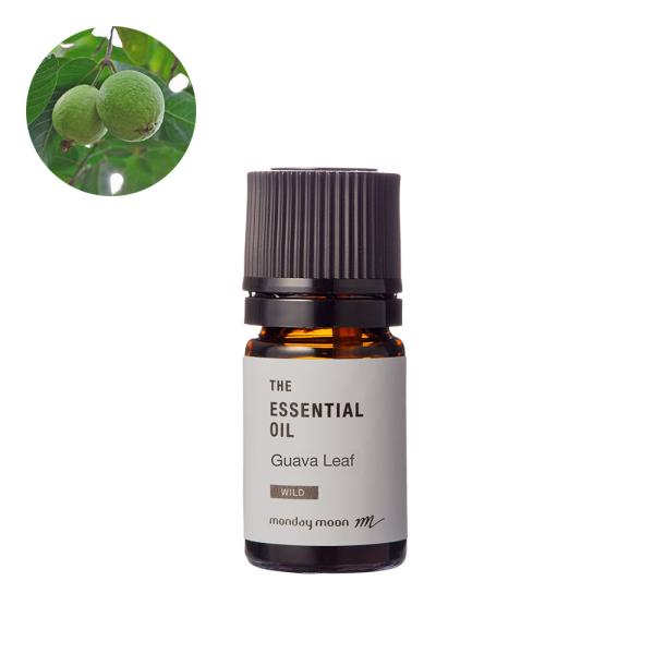 お試し商品 サンプル